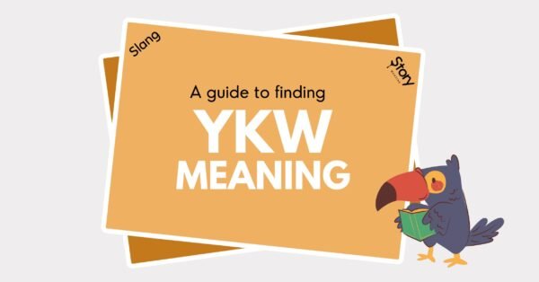 DMV Slang: What Does It Mean and How Do People Use It? | A Personal ...